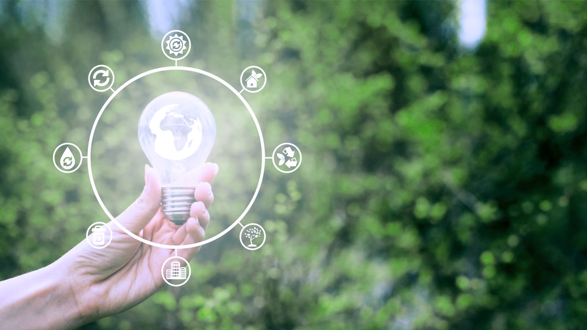 Home - European Green Digital Coalition